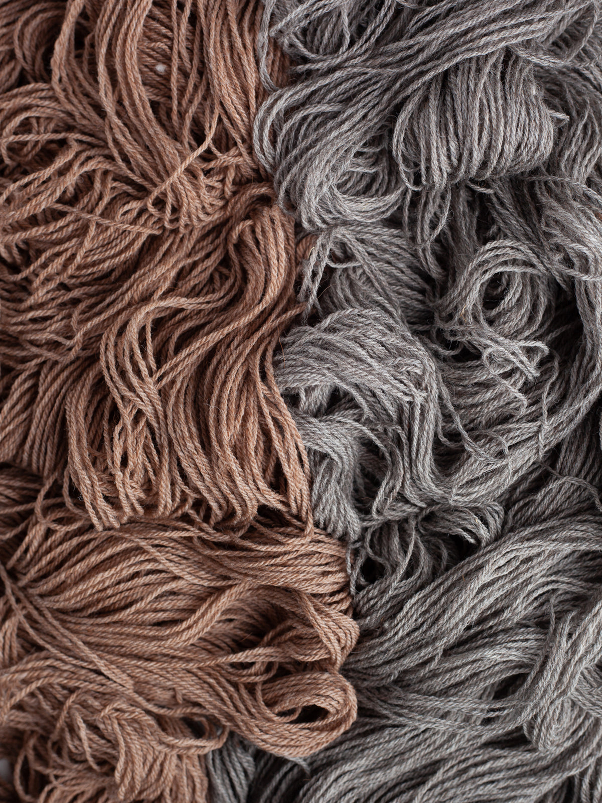 Milkshake Sport east friesian milk wool & alpaca